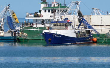 CHAMP Ventures enters lonely waters | AVCJ